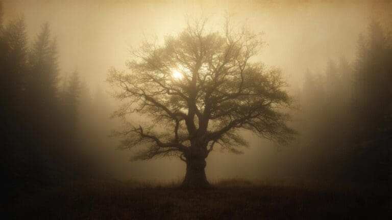 25 Personification Poem Examples | Bridesmaid For Hire